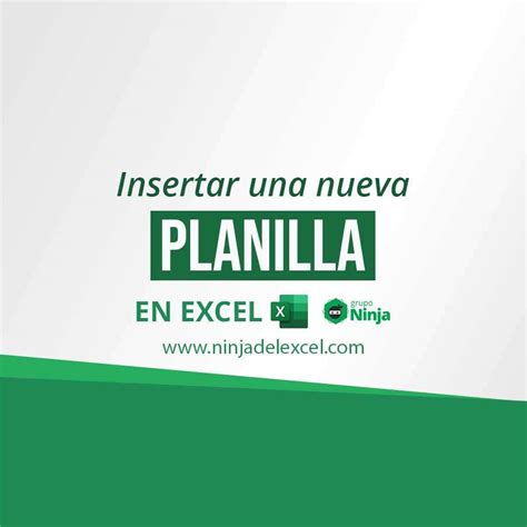 Insertar Una Nueva Planilla En Excel Ninja Del Excel