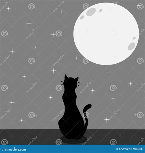 Silueta Del Gato Negro Que Mira La Luna Llena En Un Ejemplo De La Noche
