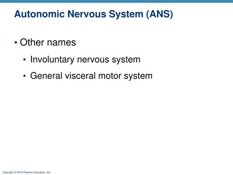 PPT Understanding The Autonomic Nervous System PowerPoint