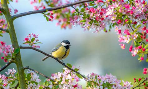 Immagini nuove primaverili buon Lunedì 1 Maggio 2023 Buon inizio mese