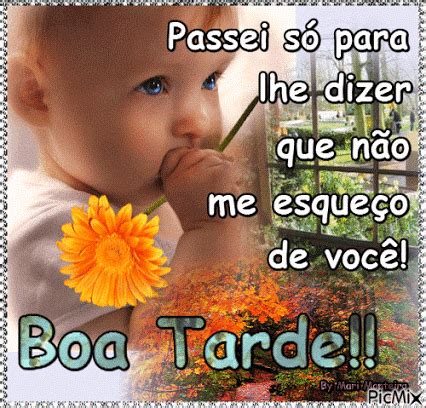 Mensagens Boa Tarde Especial Para Facebook E WhatsApp Mensagens Feliz