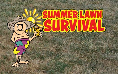 Five Smart Tips For Summer Lawn Survival Grass Pad