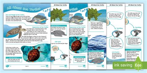 Sea Turtles Differentiated Fact Files Sea Turtles Facts