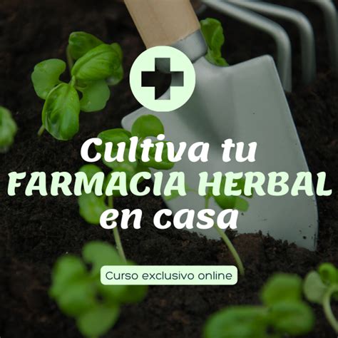 Cultiva Tu Farmacia Herbal En Casa Latam Soluciones Hotmart