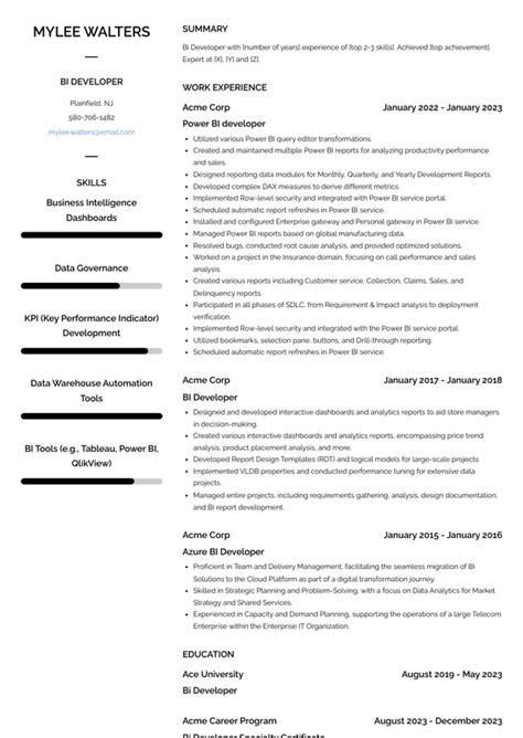 Bi Developer Resume Examples And Templates