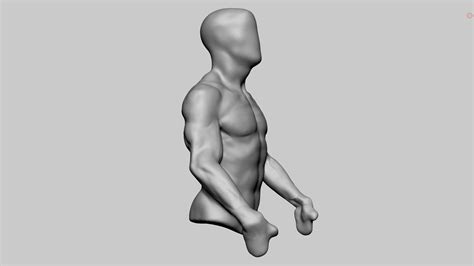 3D Male Torso Anatomy TurboSquid 1600464