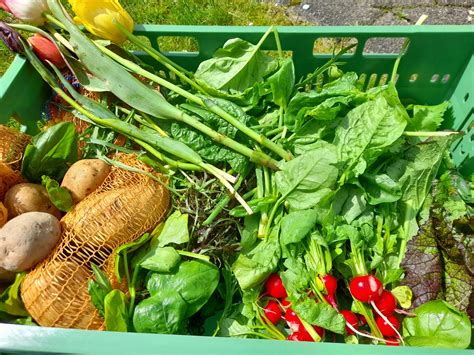 Vom Ernte Teilen Zur Solidarischen Landwirtschaft Pastoralverbund Unna