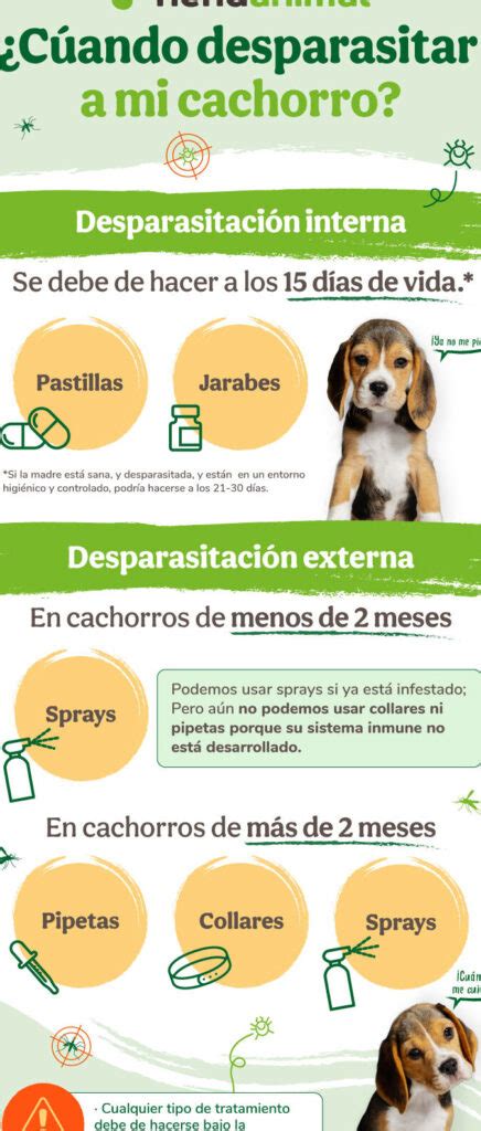 Cuál es la edad ideal para desparasitar a un cachorro