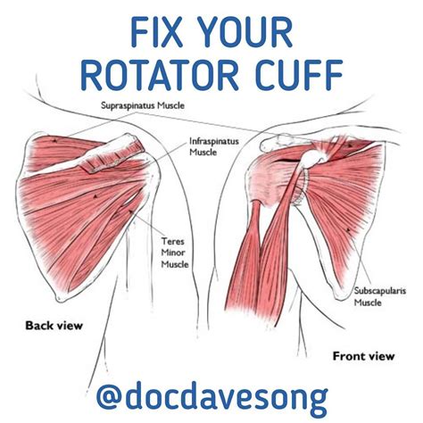 FIX YOUR ROTATOR CUFF Let S Talk Rotator Cuff These Injuries Are