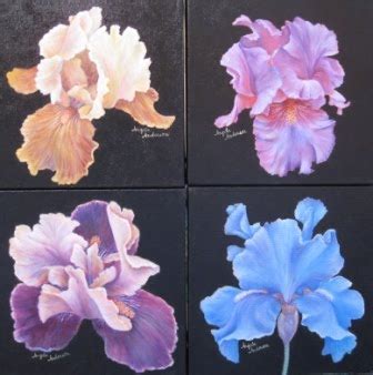 Angela Anderson Art Blog Iris Paintings Changed