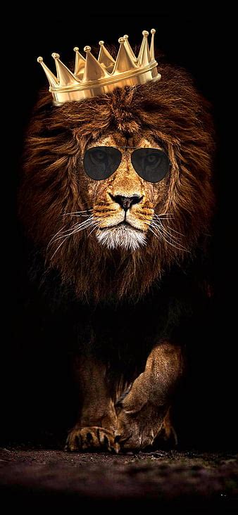 Lion With Crown Hd Wallpaper 4k Infoupdate Org