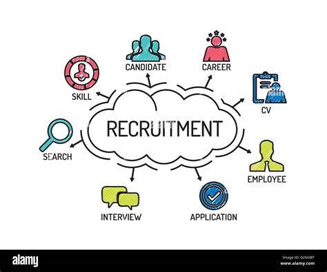 Recruitment Chart With Keywords And Icons Sketch Stock Vector Image