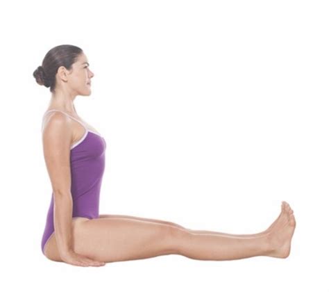 Seated Postures Flashcards Quizlet