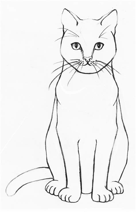 Simple Cat Pencil Drawing A Purrfect Guide For Beginners