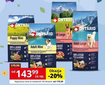 Karma Dla Psa Ontario Taniej Promocja Kakadu Ding Pl