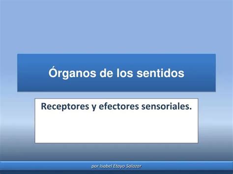 PPT Órganos de los sentidos PowerPoint Presentation free download