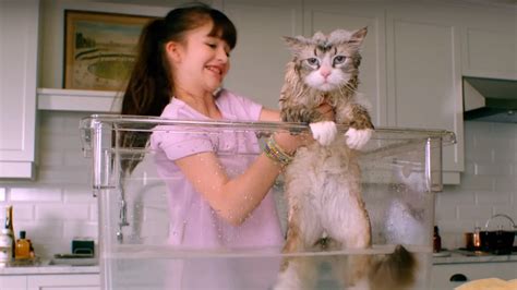 Virei Um Gato Trailer Dublado Adorocinema