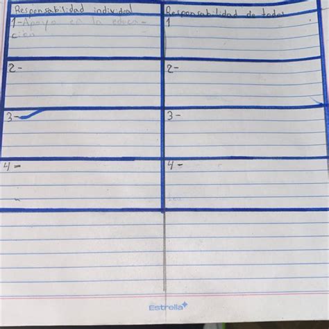 Escribe Ejemplos De Actividades Q Sean Responsabilidad De Todos Y