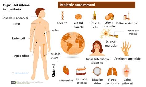 Malattie Autoimmuni Cosa Determina Il Margine Tra Salute E Malattia