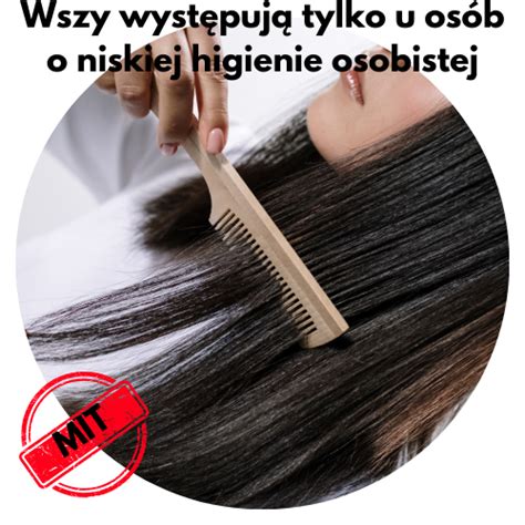 Wszawica u dzieci i dorosłych przyczyny objawy leczenie i