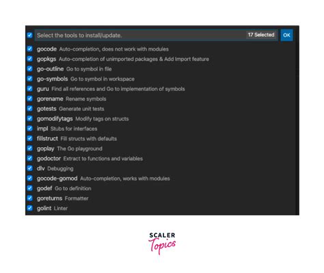 Configure Vs Code For Golang Scaler Topics