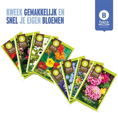 Bloemen Zaden Soorten Bekende Bloemen Voor Tuin Of In Potten Bol