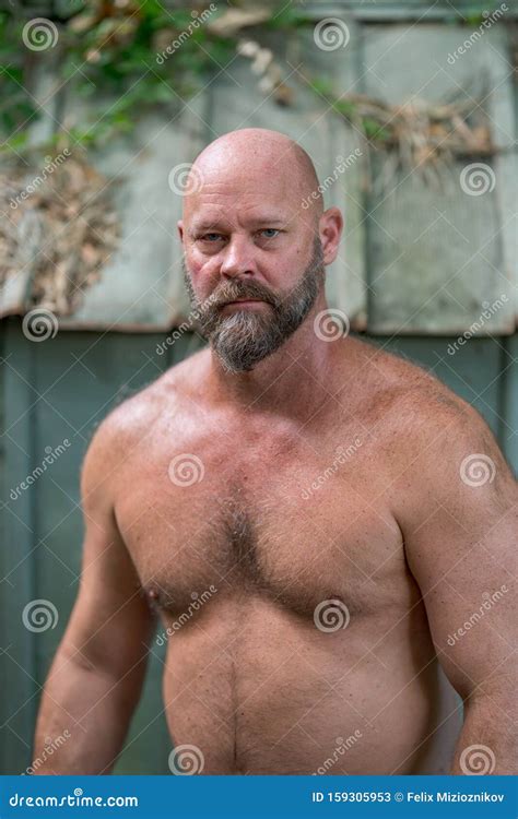 Portrait Of A Shirtless Bald Man And Beard Stock Image Image Of Beard