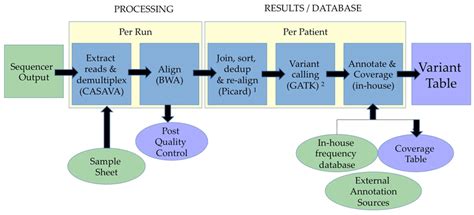 data interpretation pipeline example of dna seq bioinformatics download scientific diagram