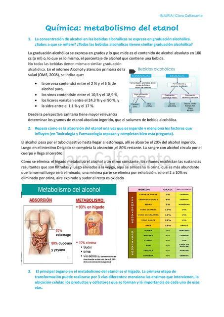 Qu Mica Metabolismo Del Etanol Gu A De De Preguntas De C Tedra