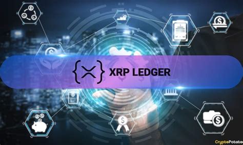 Heres How XRP Ledger Has Performed On Chain Over The Past Month