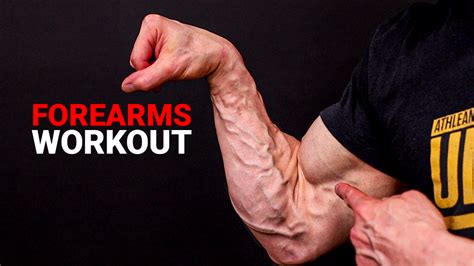Forearm Workouts Best Exercises For Muscle And Strength