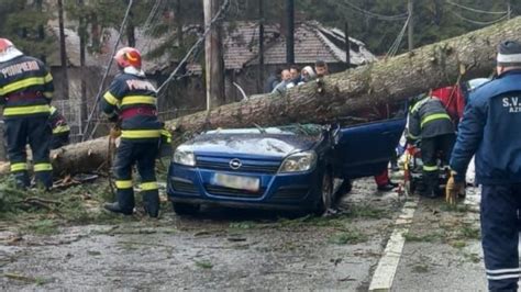 Un copac a căzut peste o mașină aflată în mers pe DN1 în Azuga Trafic