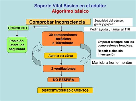 Ppt Rcp B Sica Soporte Vital B Sico Powerpoint Presentation Free