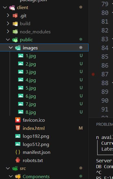 reactjs react not showing local images load local image without importing them in react