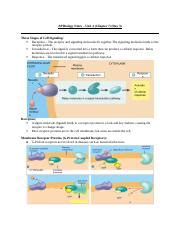 Understanding The Three Stages Of Cell Signaling For Ap Biology