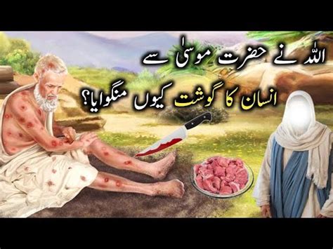 Allah Ne Hazrat Masa Alaihissalam Se Insan Ka Gosht Kion Mangwaya