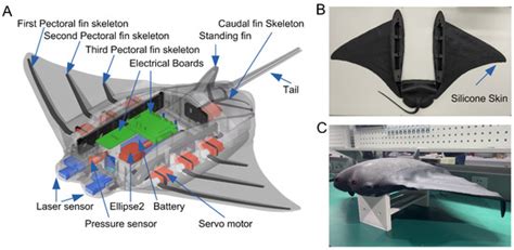 jmse free full text bioinspired central pattern generator and t s fuzzy neural network based