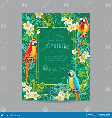 Tropisch Vogels En Bloemen Kleurrijk Kader Voor Uitnodiging Huwelijk