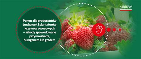Ogłoszenie Ministra Rolnictwa i Rozwoju Wsi Ministerstwo Rolnictwa i