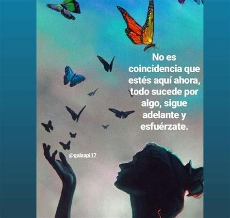 Pin De Marta C En Mariposas Frases Positivas Todo Sucede Por