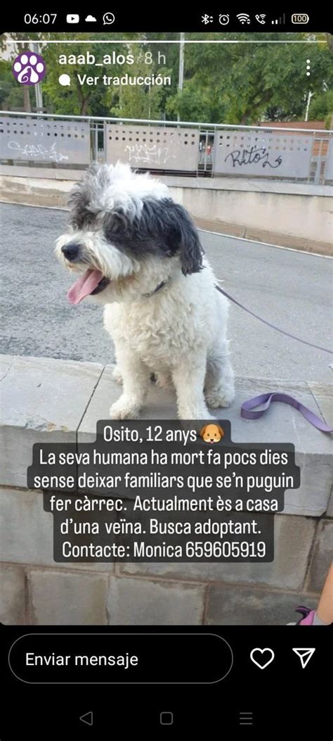 On Twitter Actualitzo Ha Trobat Casa Bravo Xiquetes D AlosAaab