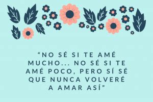 Total 36 Imagen Las Mejores Frases Para Volver Con Tu Ex Abzlocal Mx