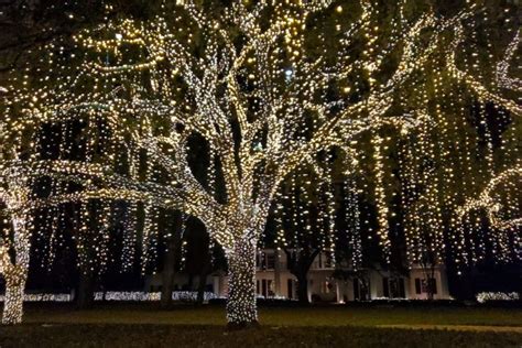Brighten Up Your Holidays With Stunning Christmas Lighting