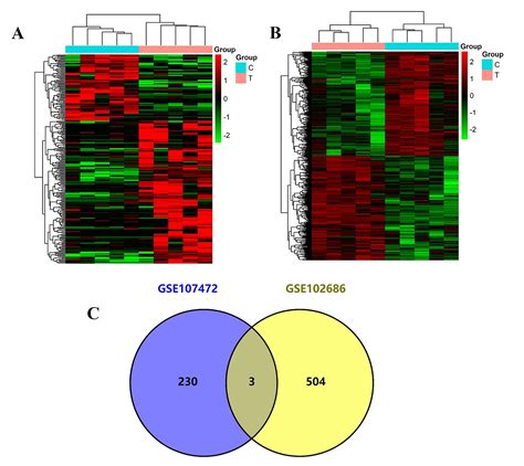 Scielo Brasil Systematic Analyses Of A Novel Circrna Related Mirnas