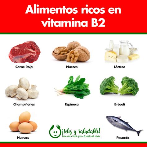 Los 10 alimentos más ricos en vitamina B2 riboflavina