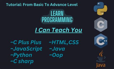 teach you python java c csharp coding and scripting by areeb 06 fiverr