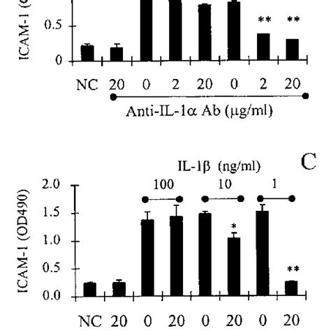 Icam Expression On Vascular Endothelial Cells Is Activated By