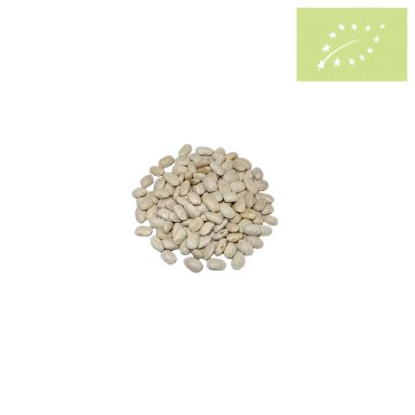 Alubia blanca de riñón 500g Ecológica