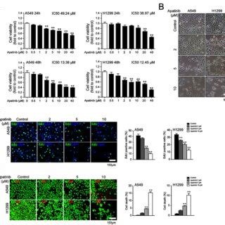 The Inhibitory Effects Of Apatinib On The Proliferation Of NSCLC Cells
