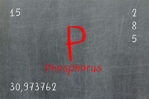 Phosphorus Facts Element Characteristics Properties